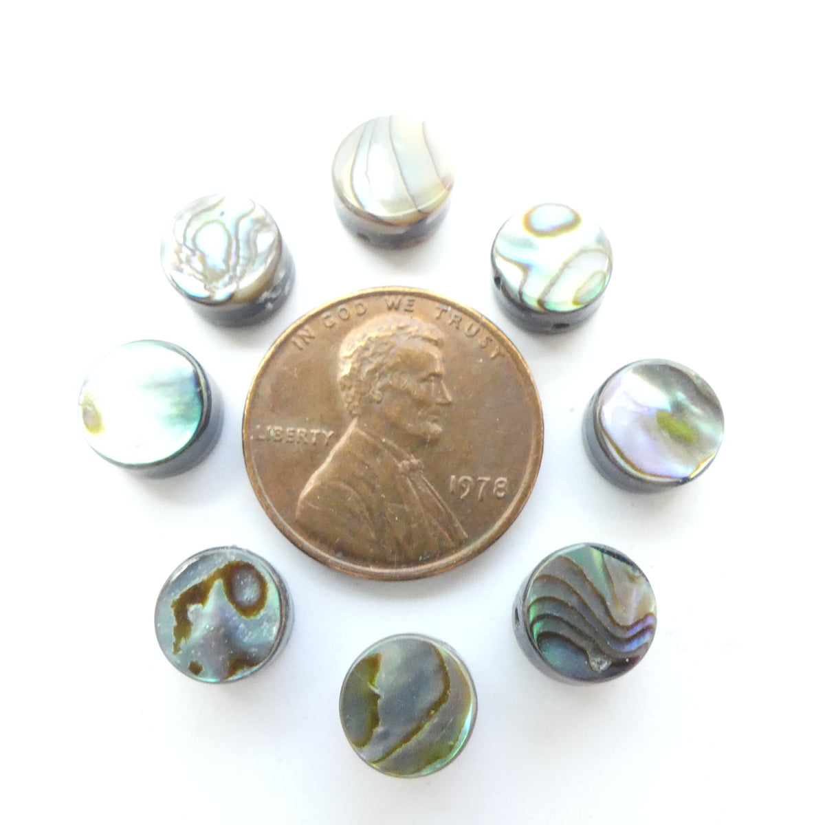 Shell, Abalone, Flat Round Beads 8mm Diameter, Sold by the Set of 8 ...
