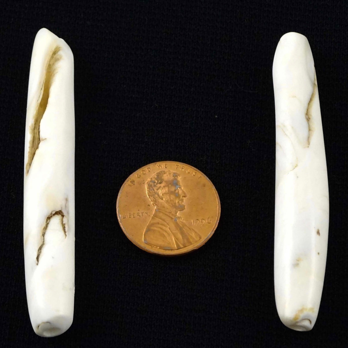 Naga, Shell Beads, Antique Chank Pair of Slim Tubes 2 3/8 x 3/8 ...